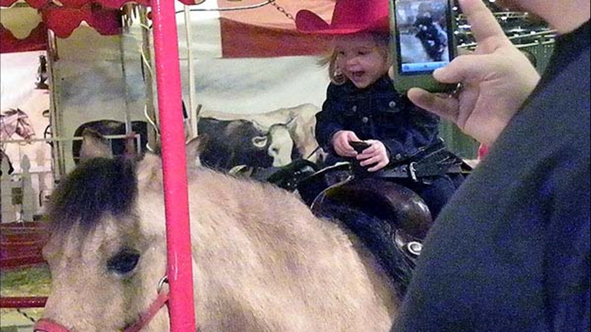 Family-friendly rodeo attractions for kids | Houston, Texas news | khou.com