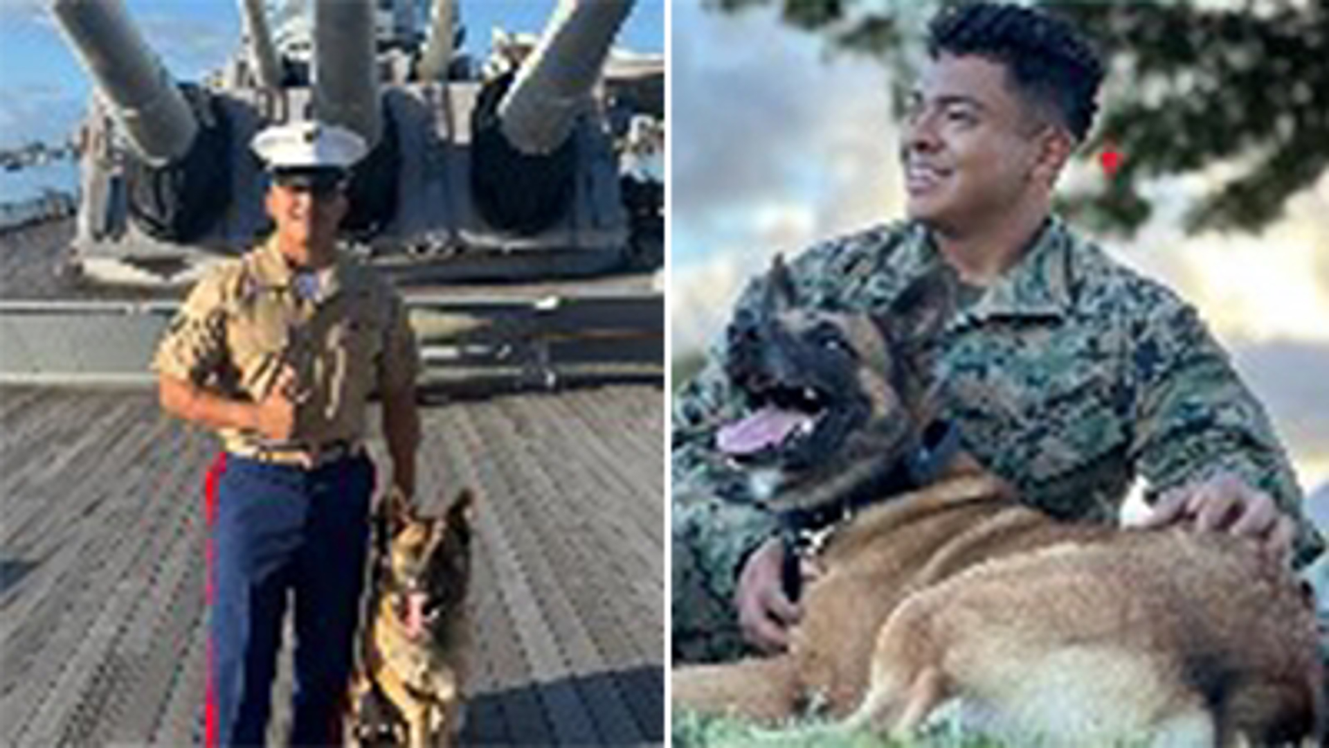 Retiring military dog reunited with Houston-area Marine to begin their ...