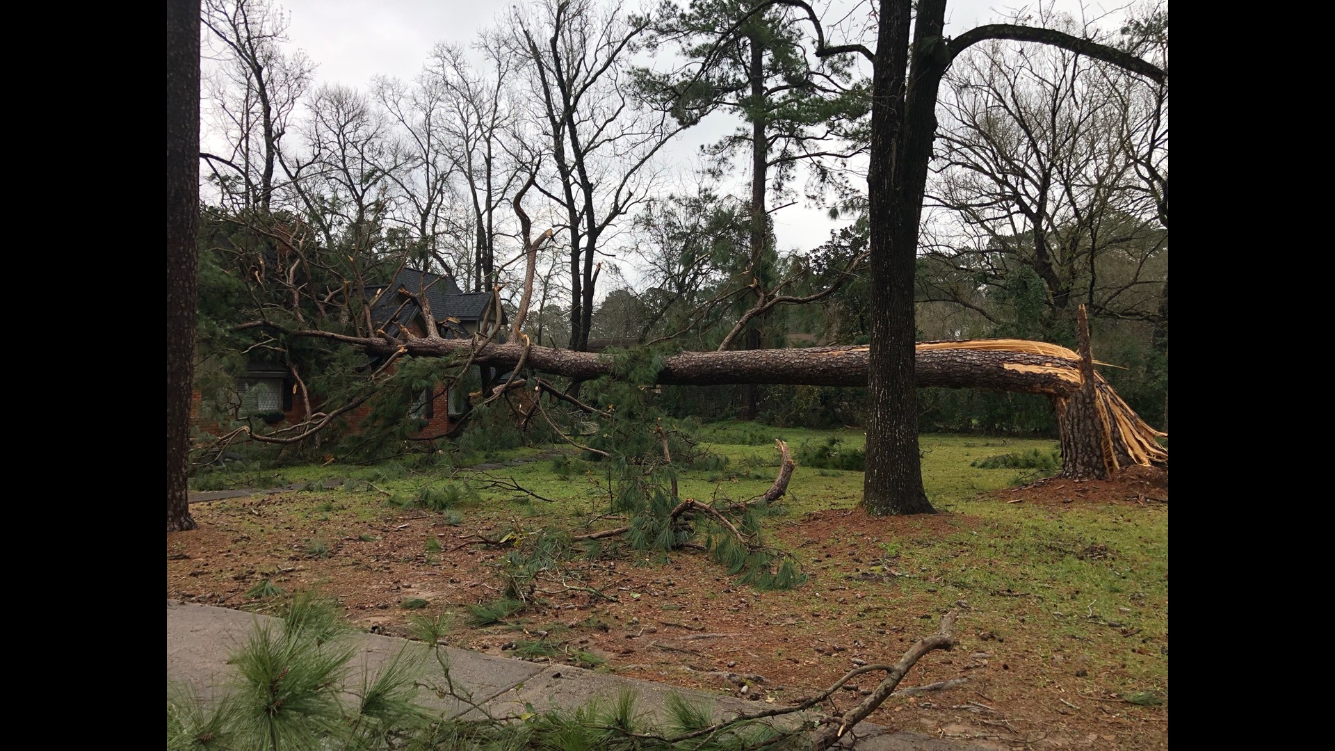 Houston weather: Storm damage photos and videos | khou.com