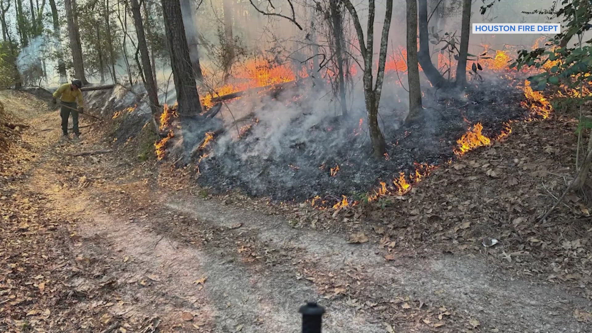 'Avoid the area' | HFD battling wildfire in NE Houston, residents could ...