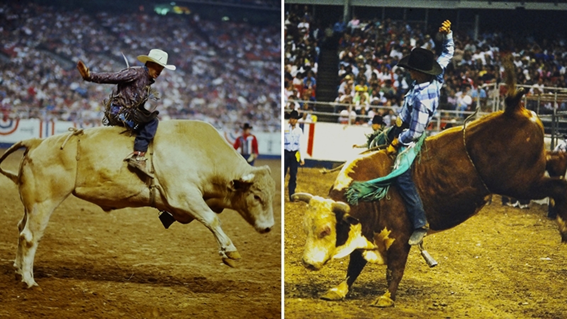 Bodacious, the baddest bull of them all, and a champion bull rider will ...