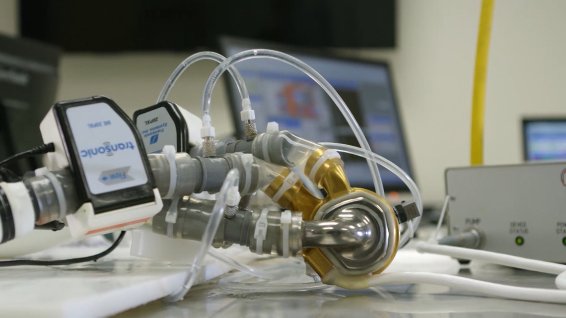 Revolutionary BiVACOR heart device moves to phase 2 of FDA trial | khou.com