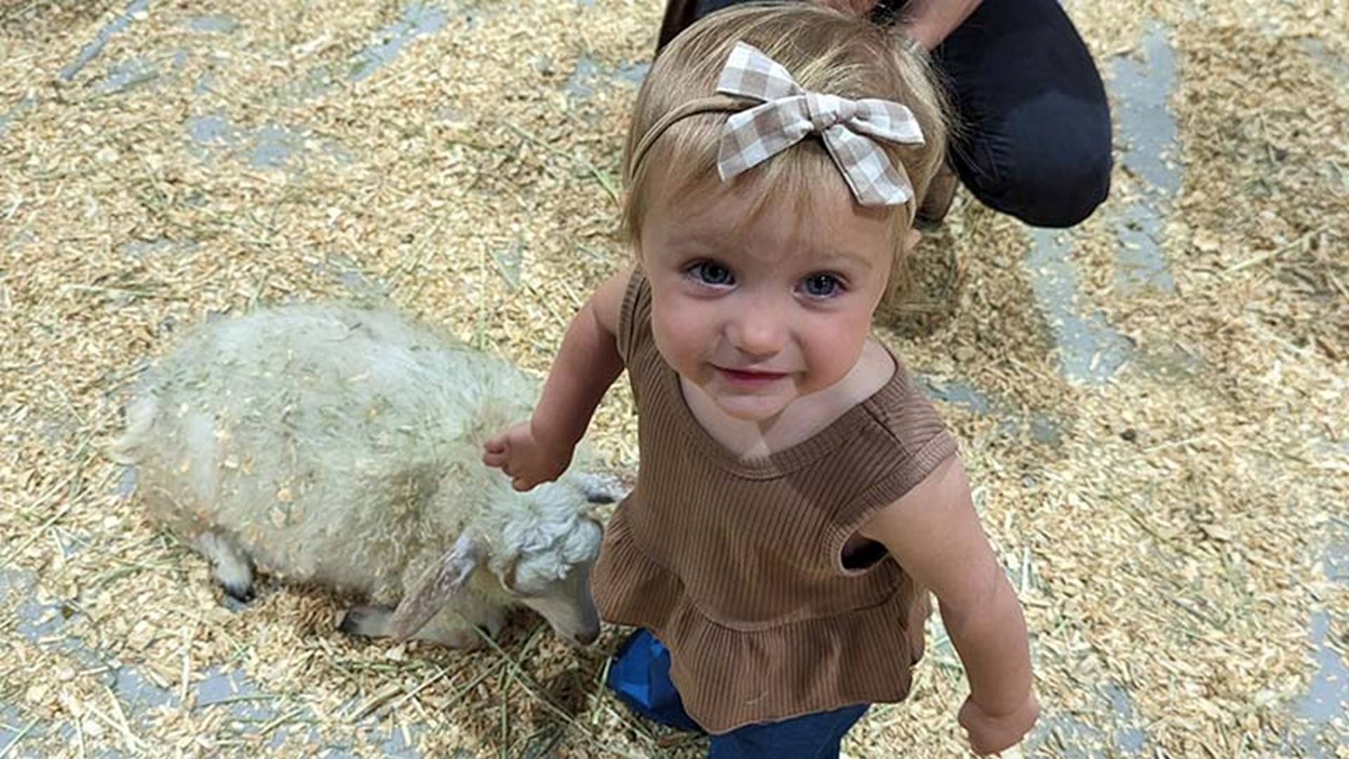 Houston Rodeo guide: attractions; parking; bag policy and more! | khou.com