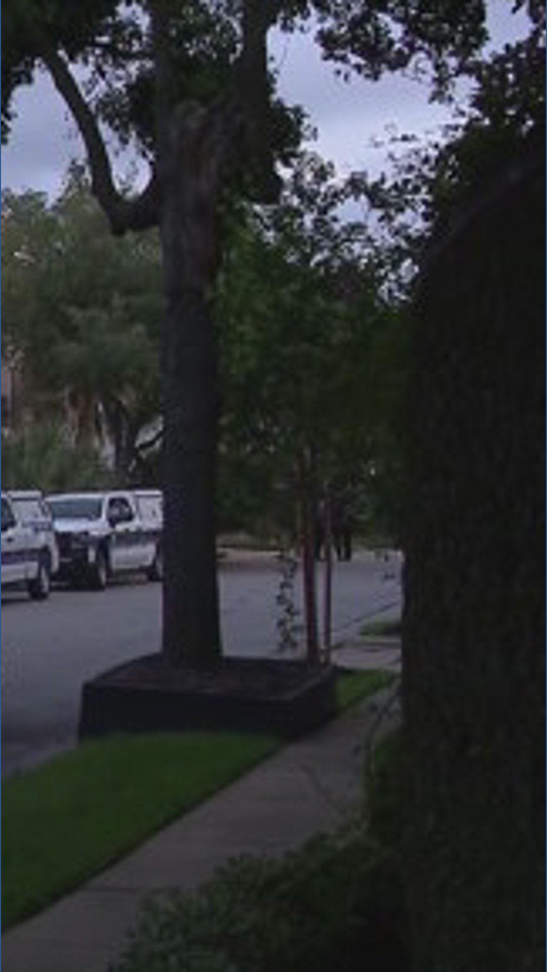 Couple in River Oaks triple-murder suicide identified | khou.com