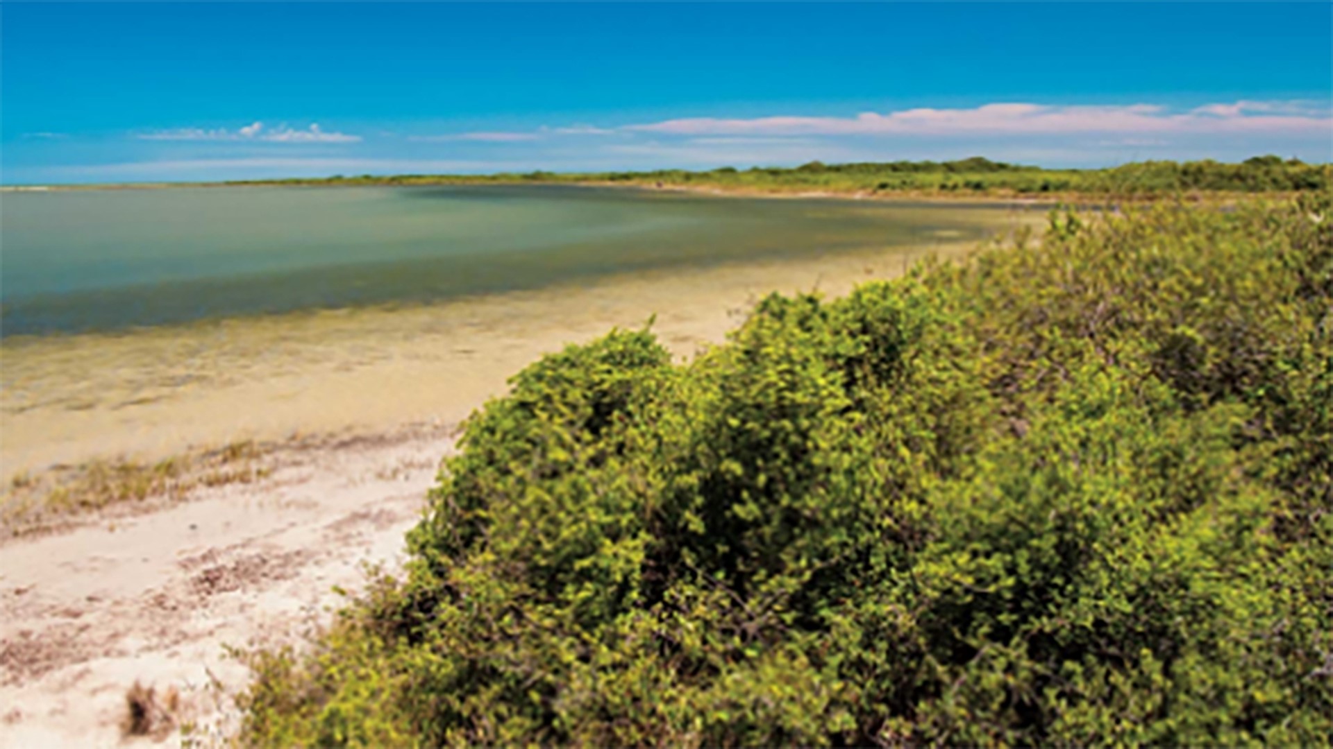 6 new Texas state parks | khou.com