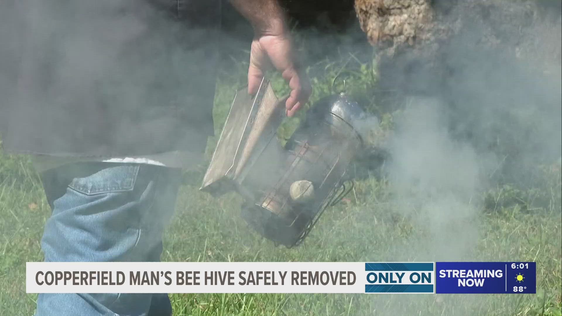 Beekeeper saves Texas homeowner from costly bee removal | khou.com