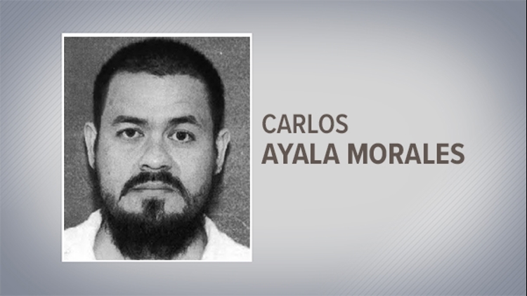 Reward rises for Houston predator on the loose | khou.com