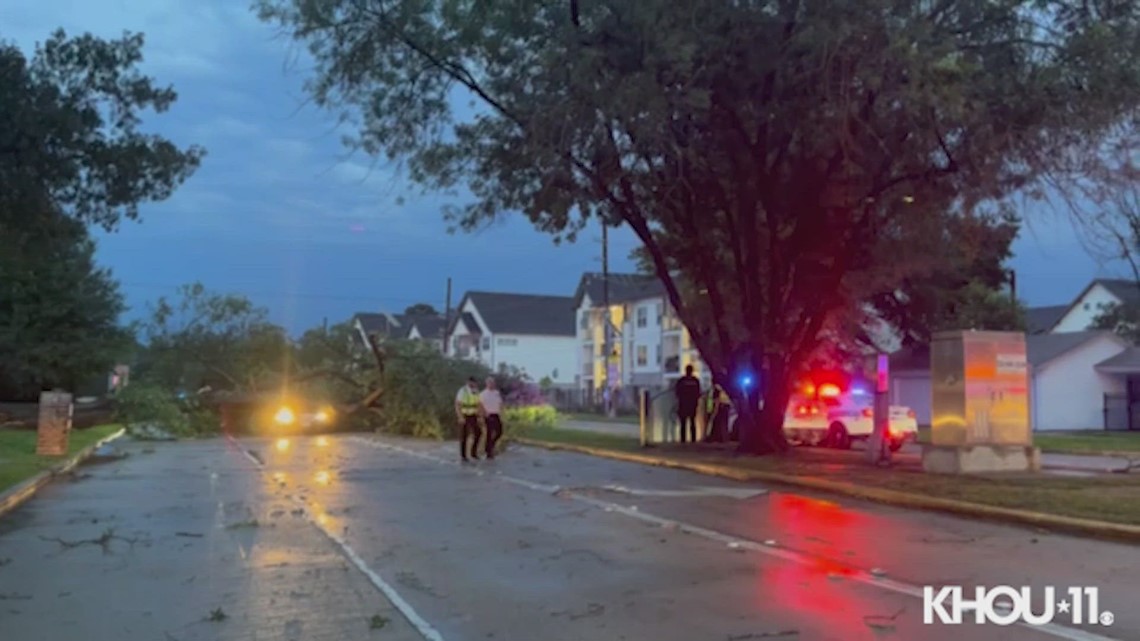 Raw video | Tree falls on vehicle in N. Harris County during storms ...