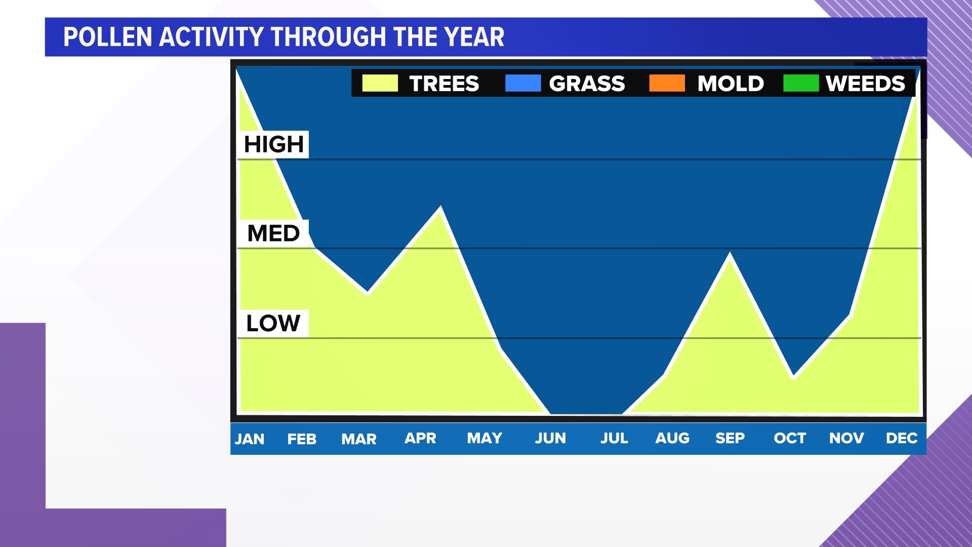 Houston, Southeast Texas cedar pollen spike affecting allergies | khou.com