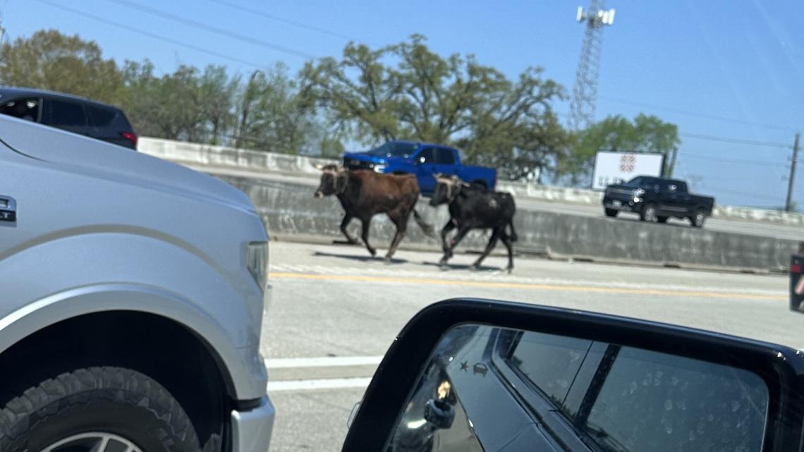 What is ‘Toasted Skin Syndrome?’ | Experts explain the net-like skin ...