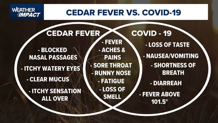 What is cedar fever? | khou.com