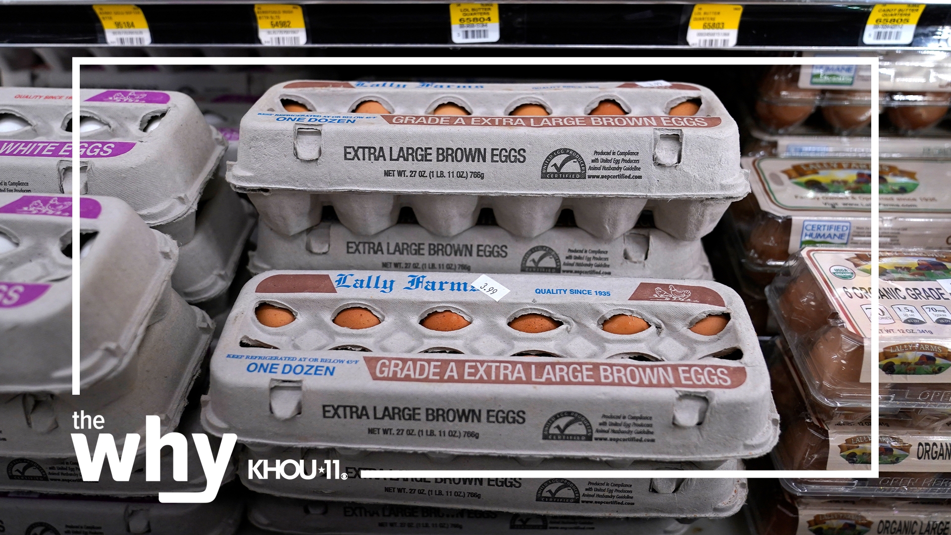 Are eggs safe to eat during bird flu outbreak? | khou.com