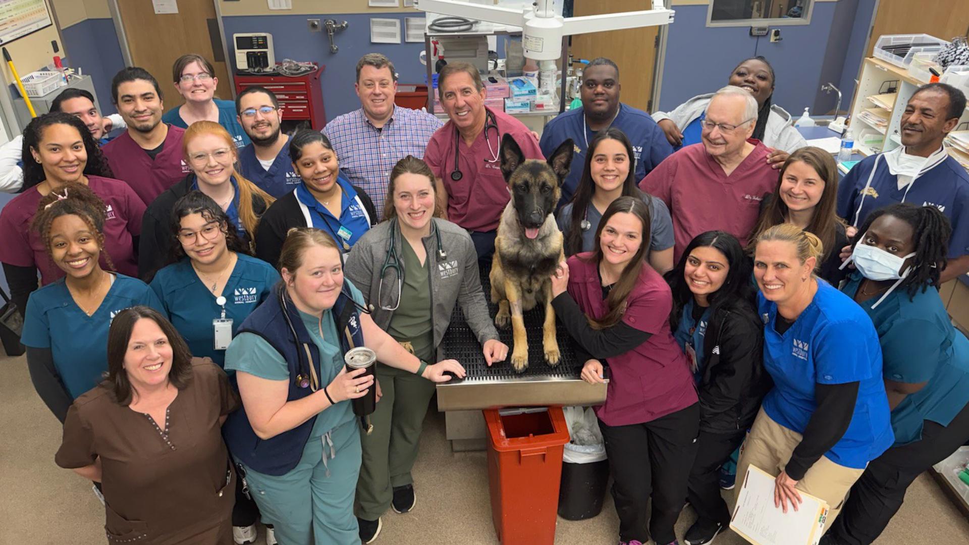 K-9 dog in manhunt is released from the hospital | khou.com