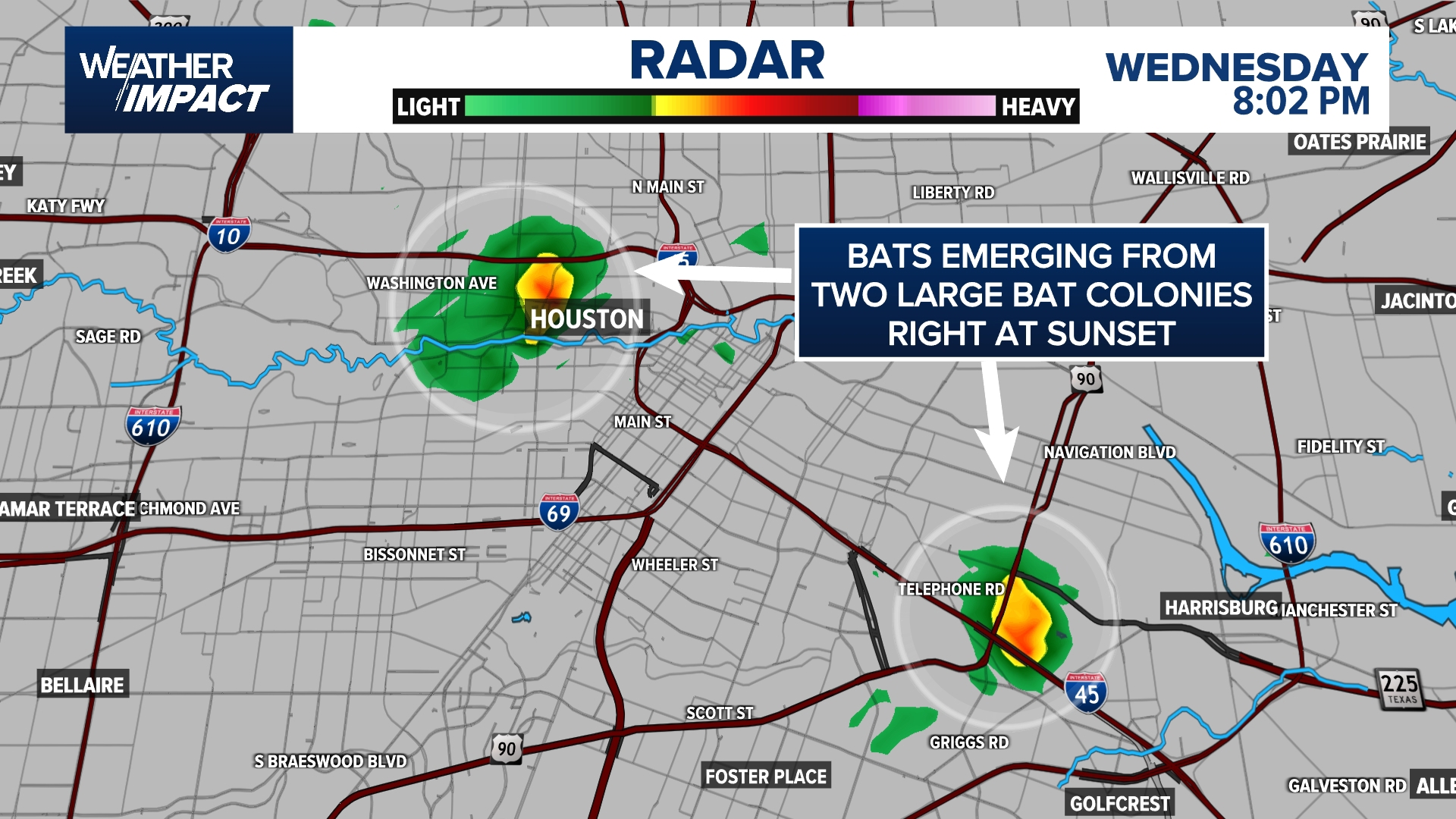 Houston radar captures bat colonies taking flight Wednesday night ...