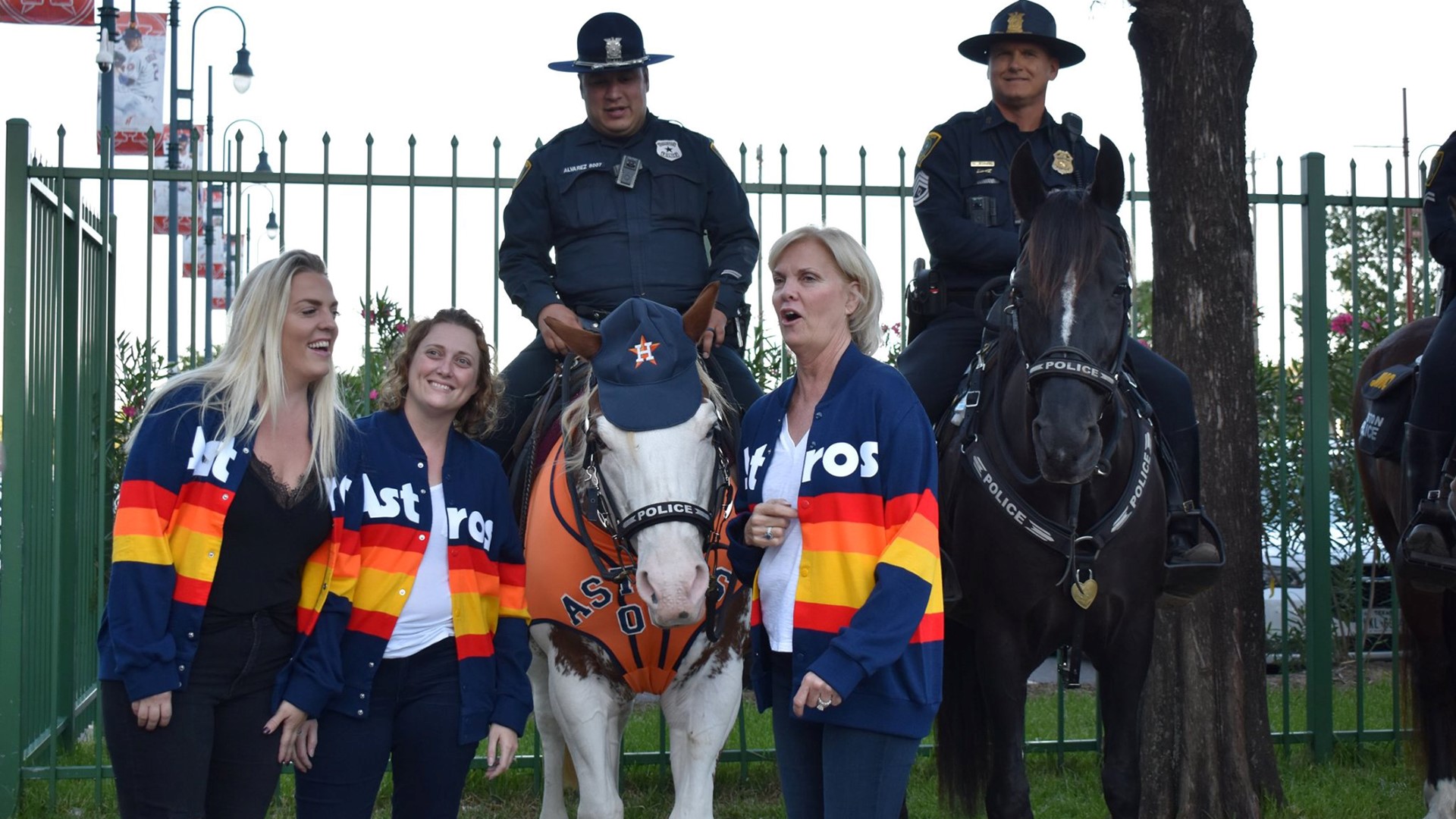 Houston Police Department Mounted Patrol horse dies at 15 | khou.com
