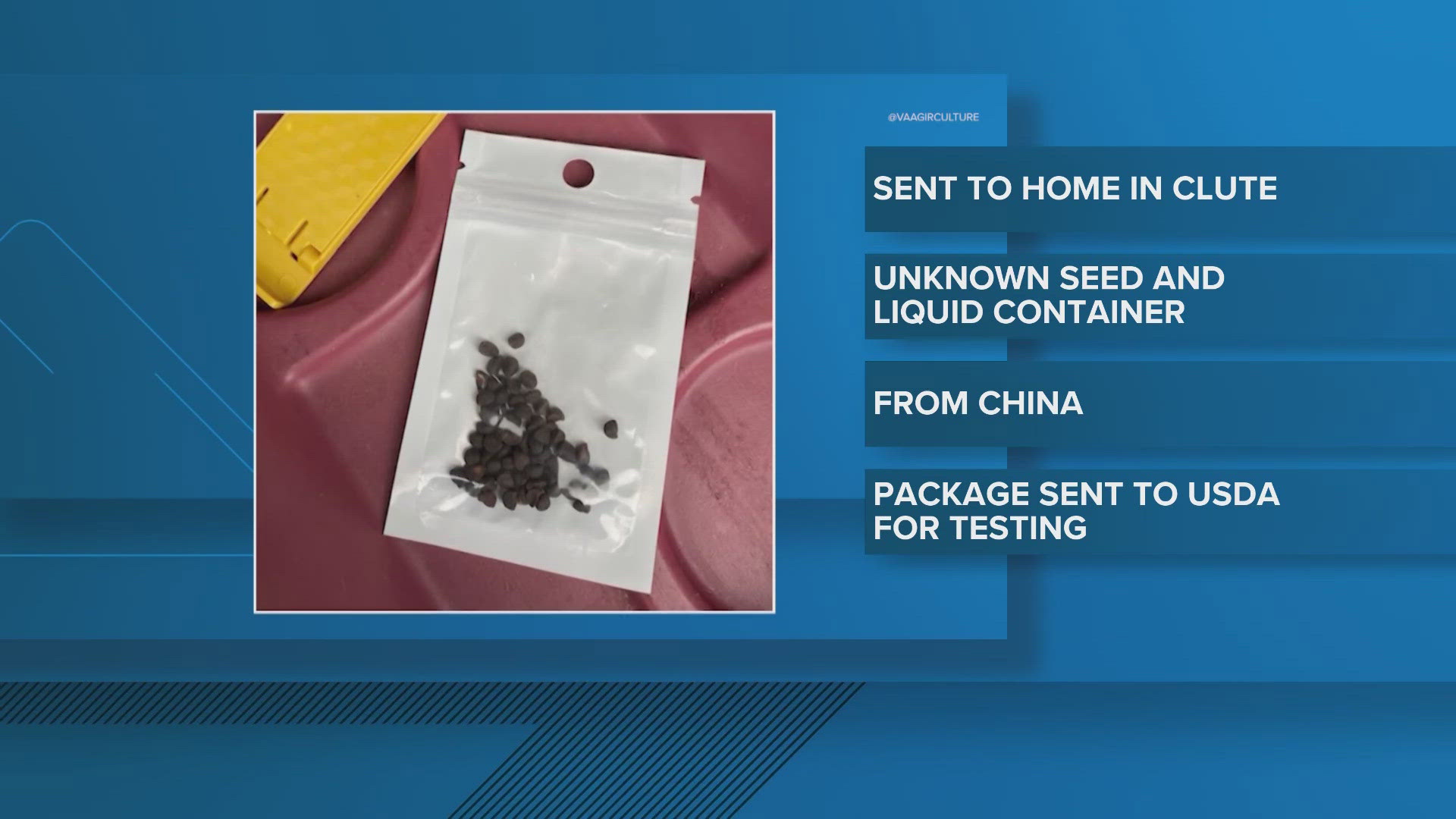 What to do if you get a package of seeds from China | khou.com