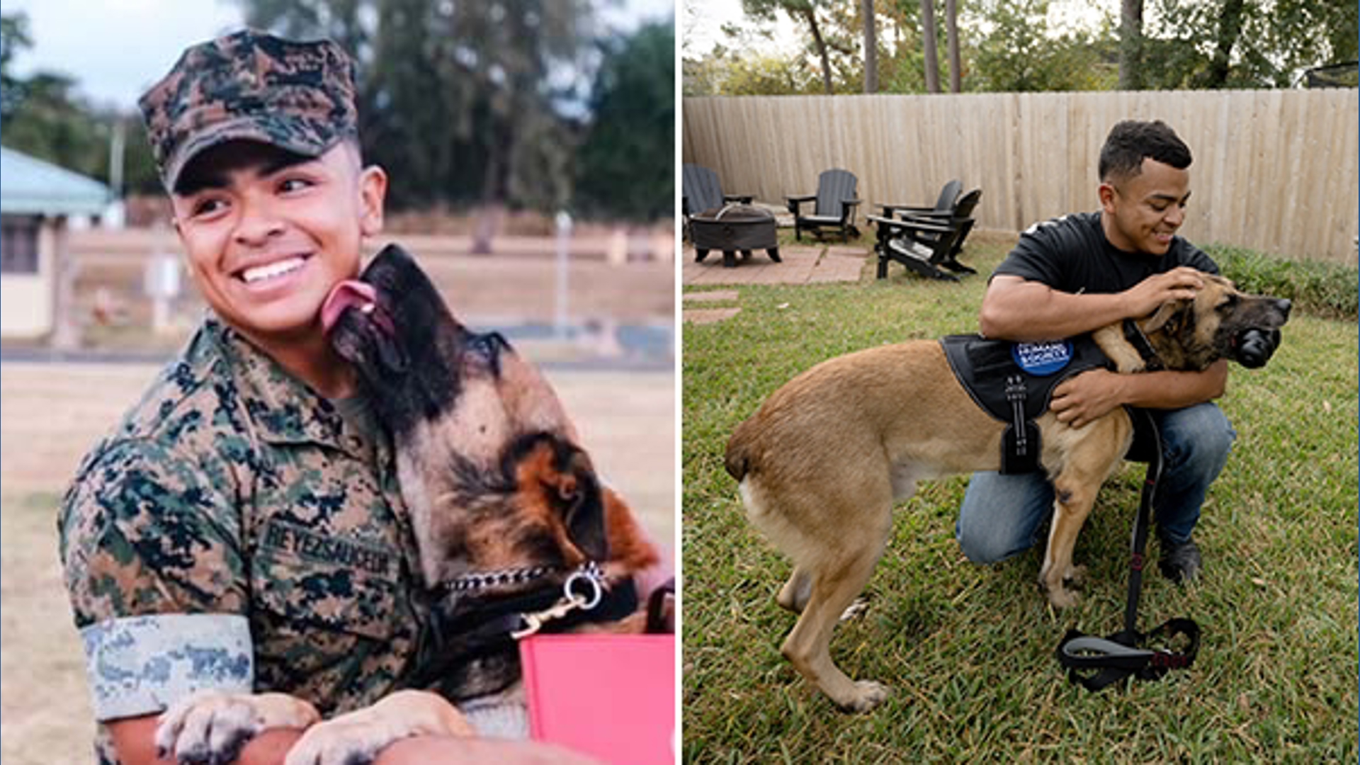 Retiring military dog reunited with Houston-area Marine to begin their ...
