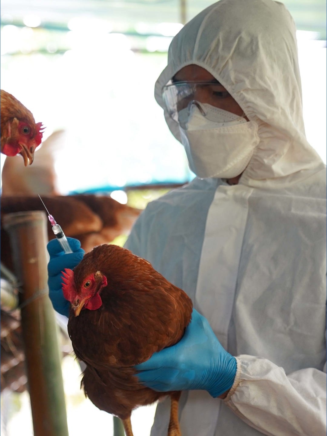 Texas health alert | TPWD warns of highly contagious threat to animals ...