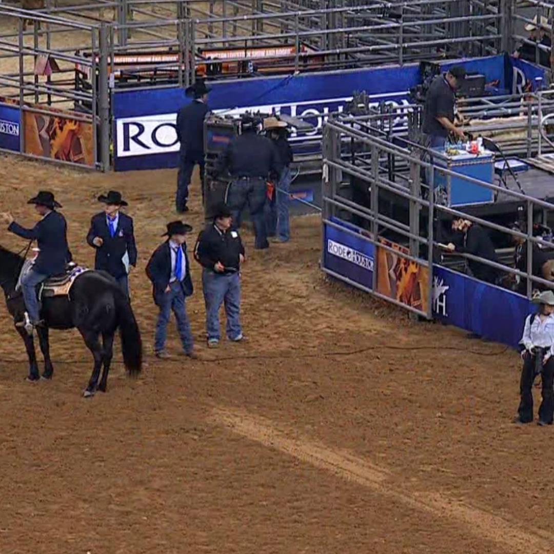Steer euthanized after being injured in rodeo event, Houston Livestock ...