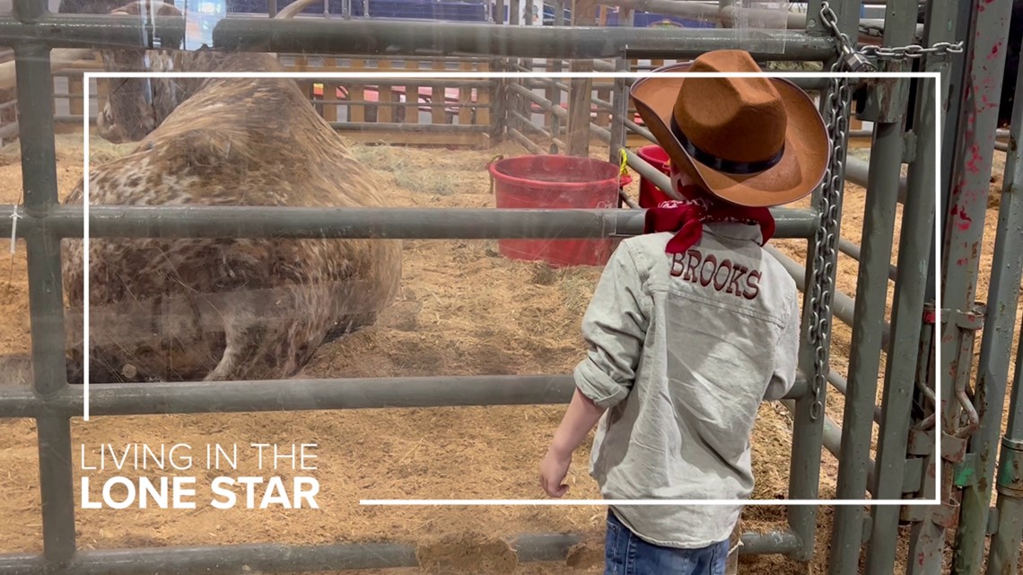 AgVenture offers hours of free family fun at RodeoHouston | khou.com