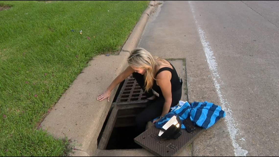 Woman rescues puppies stuck in storm drain | Houston news | khou.com