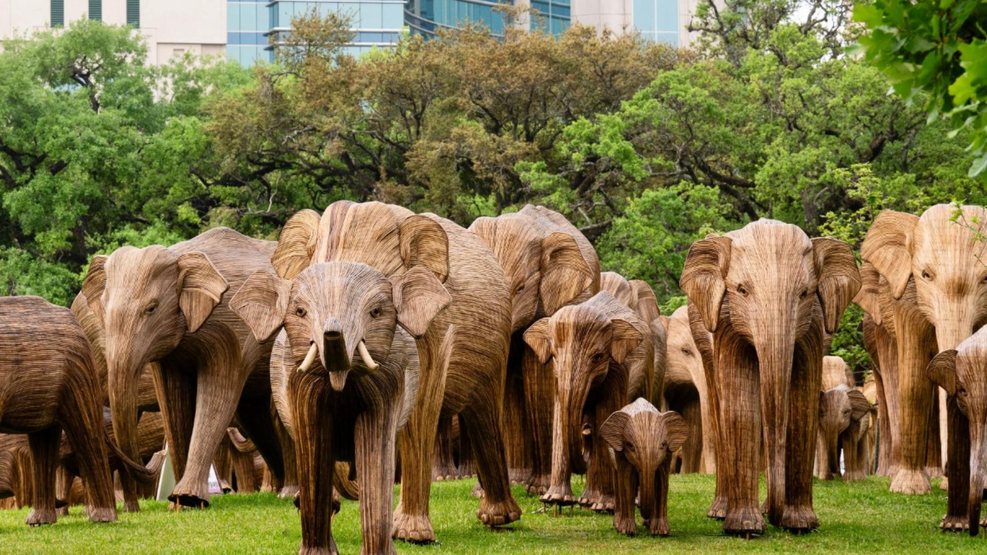 Great Elephant Migration arrives in Texas | khou.com