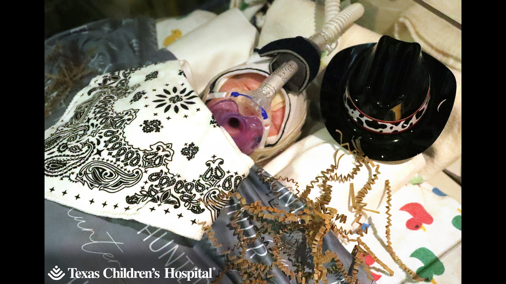 Texas Children's NICU babies celebrate rodeo with photoshoot | khou.com