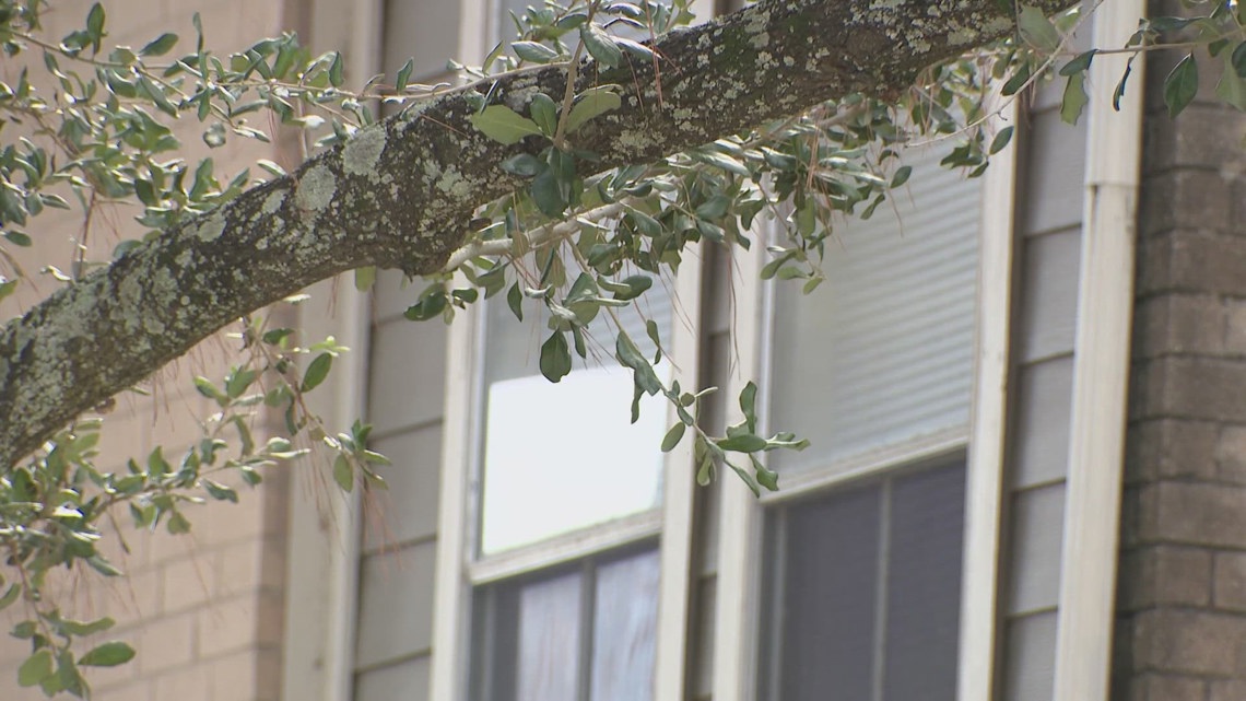 Sarah Hartsfield murder trial gets underway with first witness | khou.com