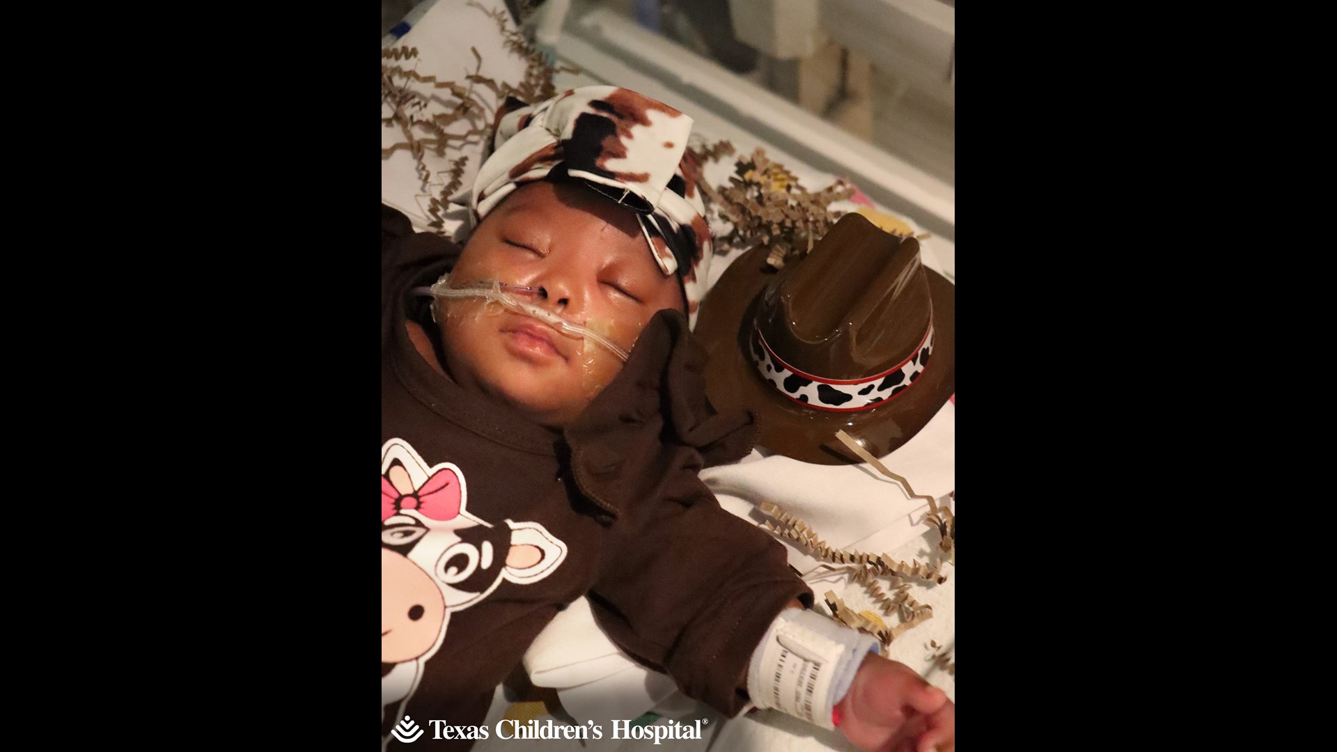 Texas Children's NICU babies celebrate rodeo with photoshoot | khou.com