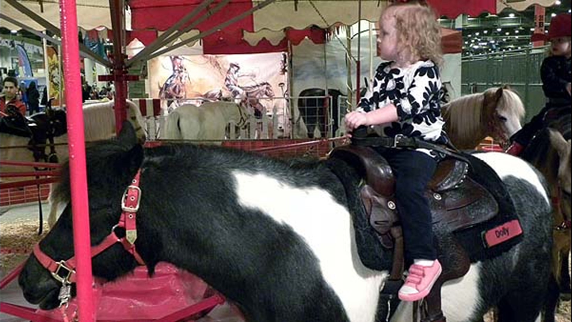 Family-friendly rodeo attractions for kids | Houston, Texas news | khou.com