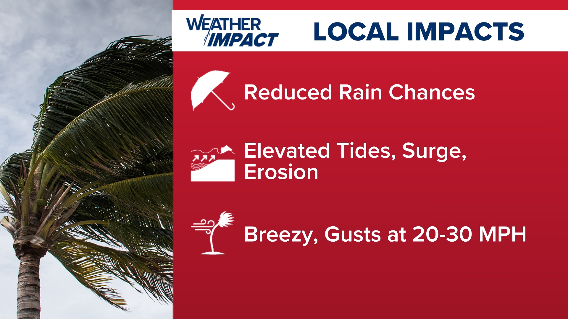 Tropical Storm Francine tracker: Forecast, models and cone | khou.com