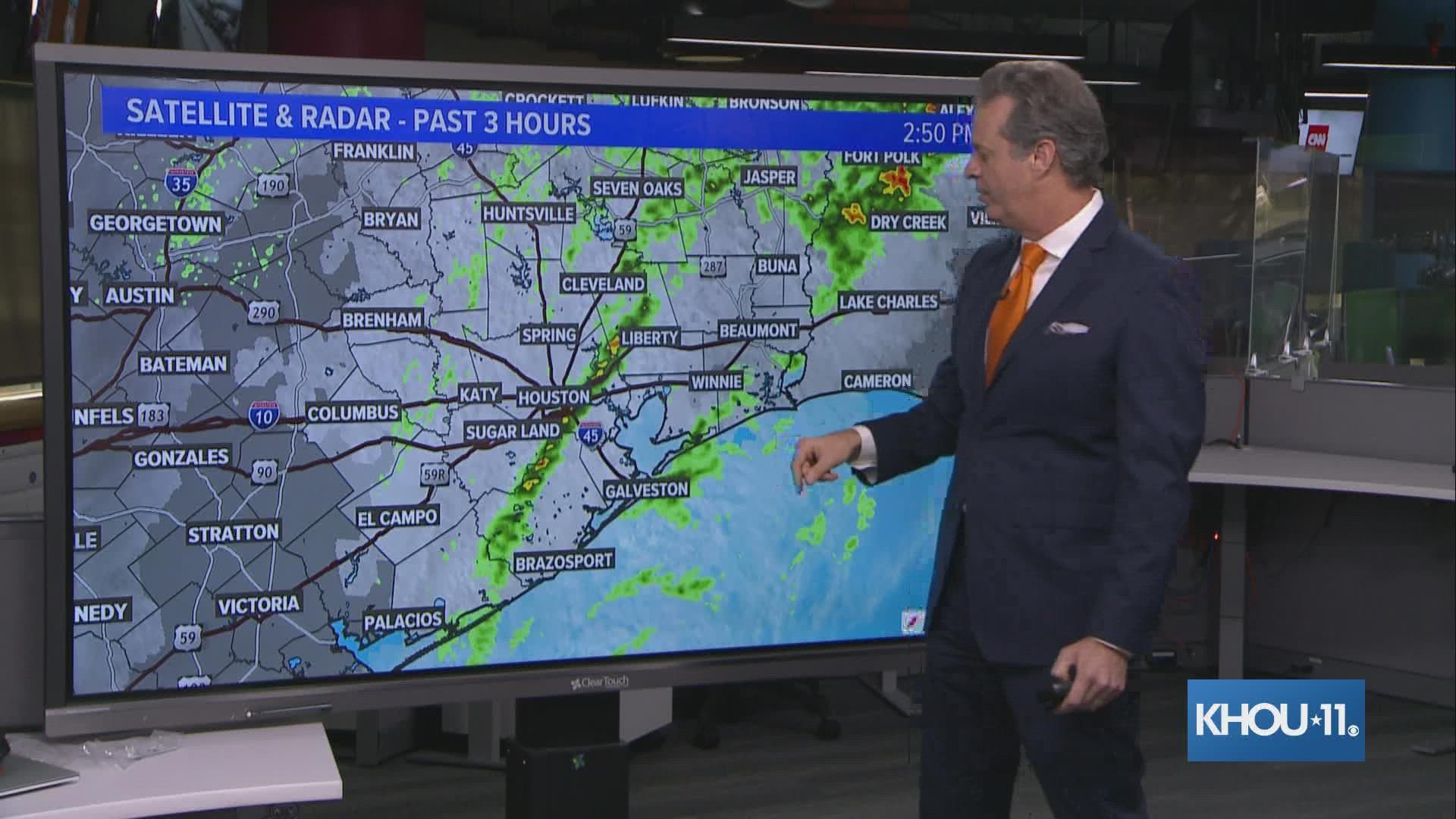 VERIFY: Dead bull shark found in Trinity River | khou.com