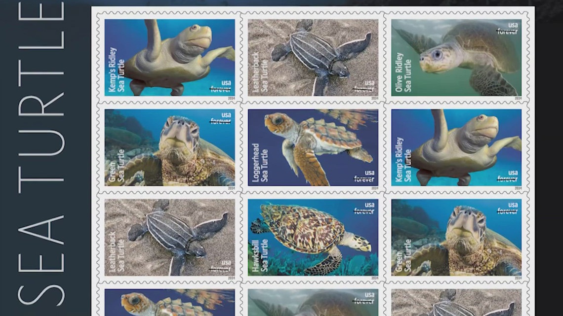 USPS releasing limited edition 'Protect the Sea Turtles' stamps | khou.com
