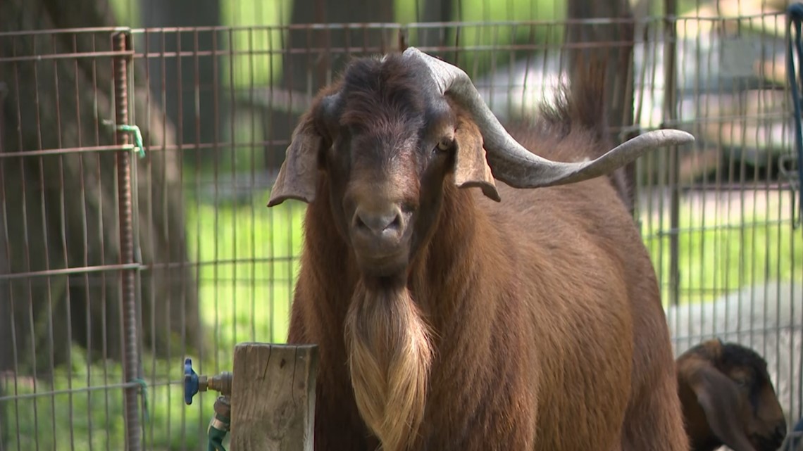 Anayeli Ruiz - Journalist Profile - Intelligent Relations