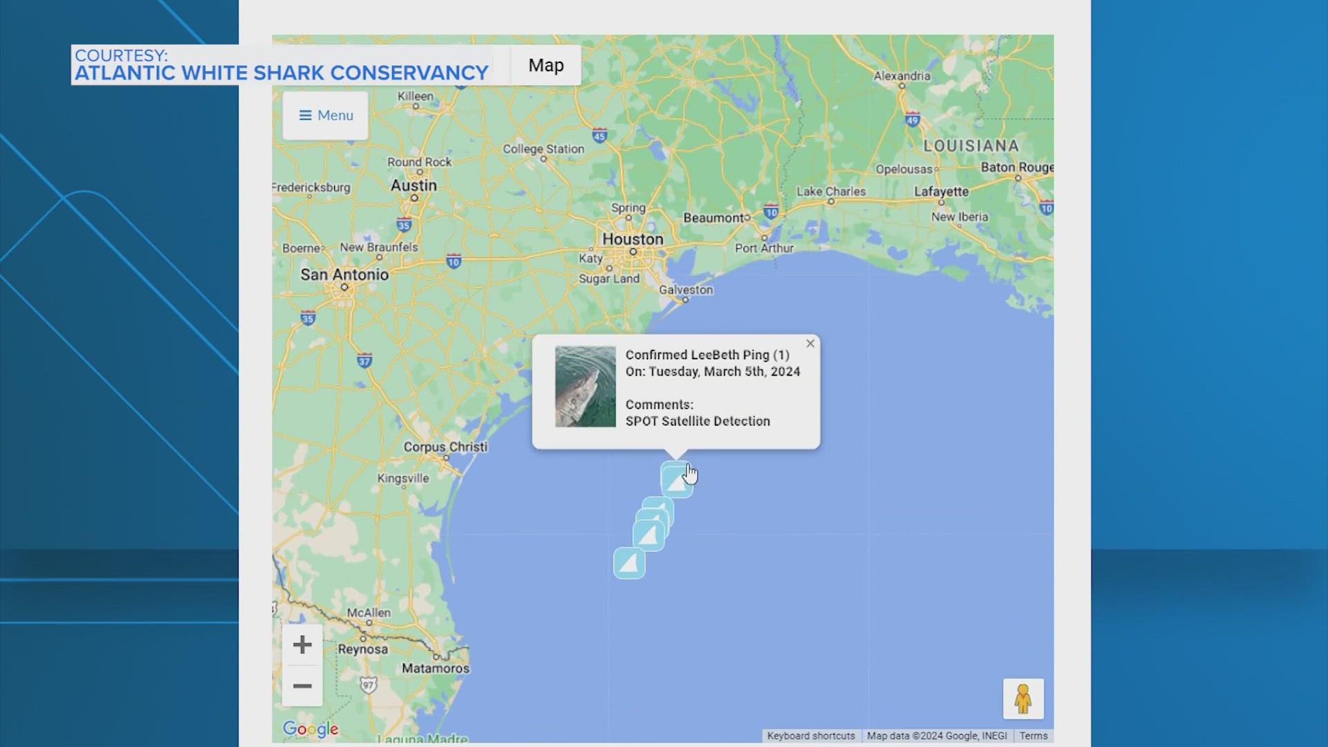 Scientists tracking great white shark off Texas coast | khou.com