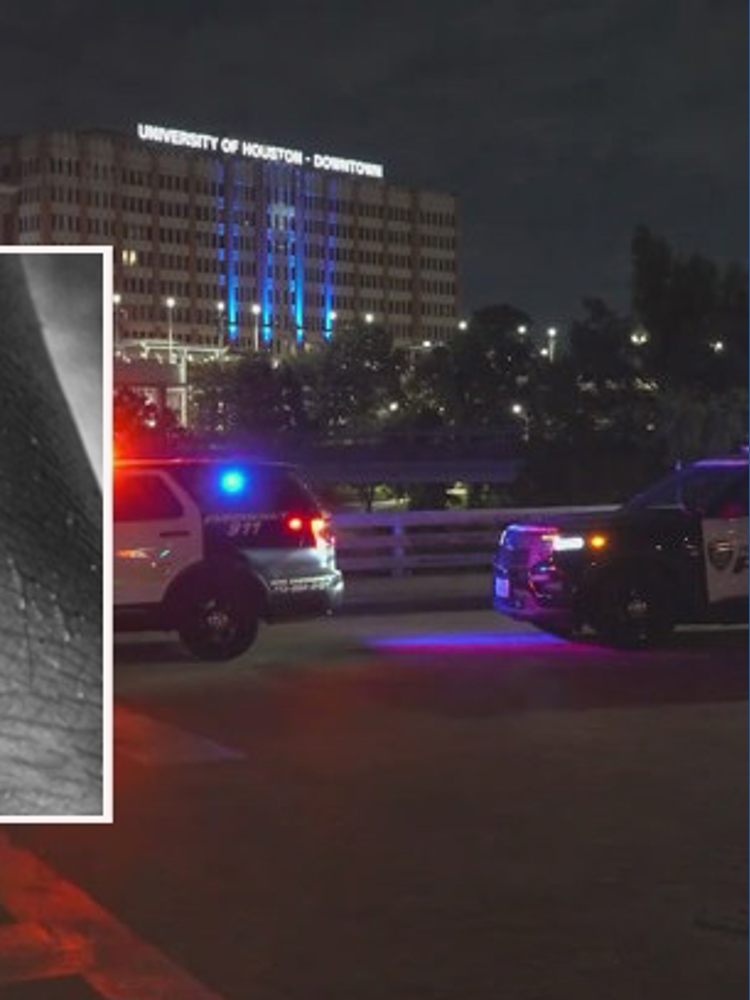 Tattoo photo, detailed description of woman pulled from Buffalo Bayou ...