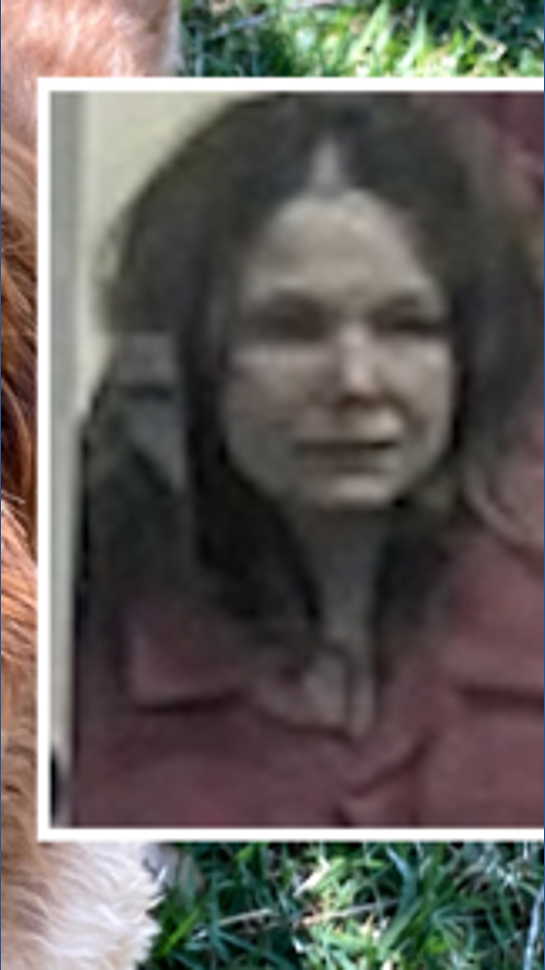 Woman let goldendoodle strangle himself during grooming session ...