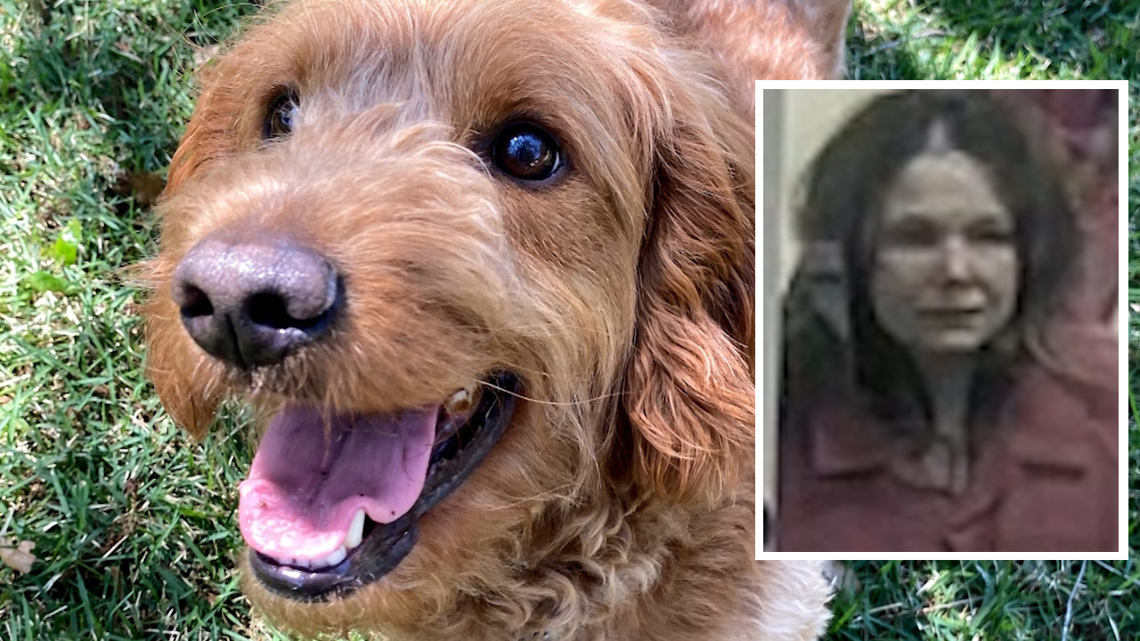 Woman let goldendoodle strangle himself during grooming session ...