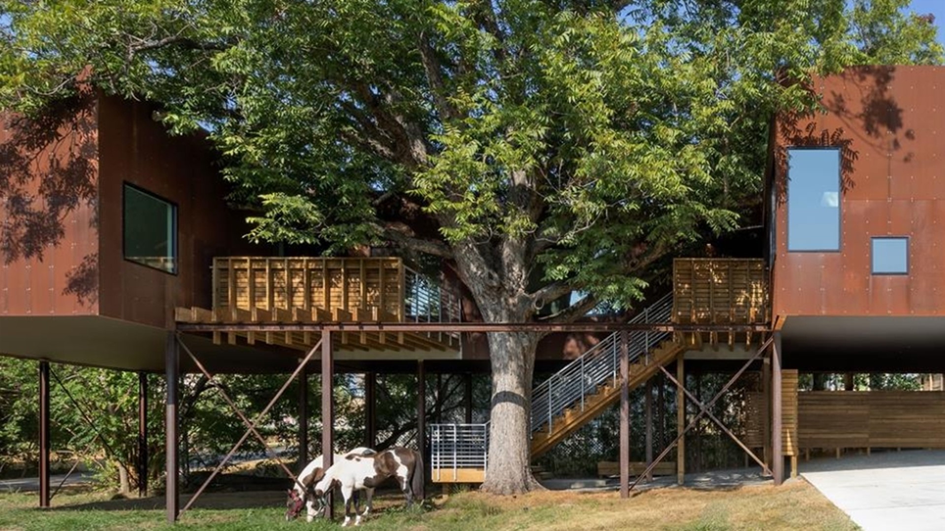 Treehouse near downtown Houston on the market for $1.75M | khou.com