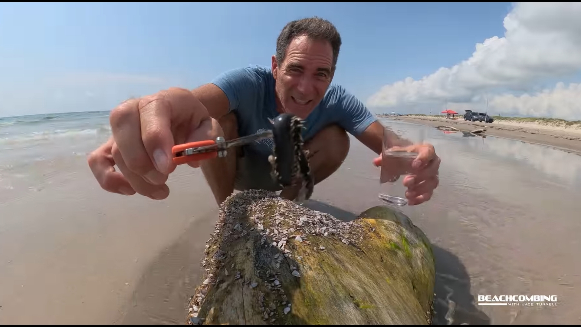 Fireworm found near Corpus has sting that causes 'massive pain' | khou.com