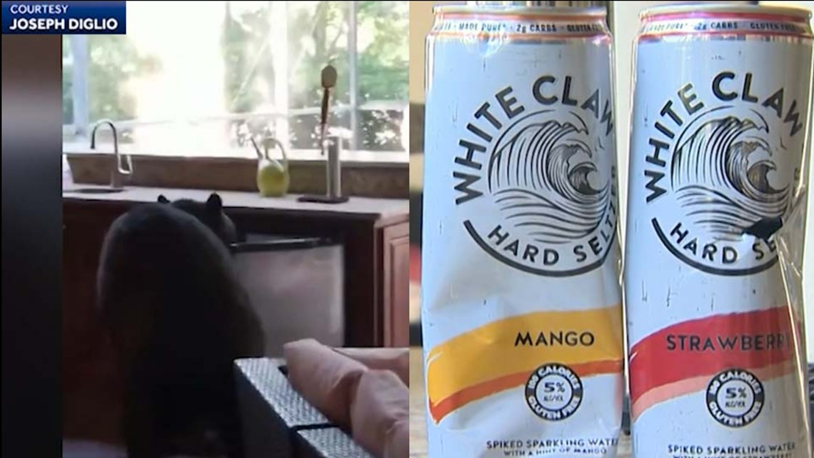 Bear chugs White Claws | khou.com