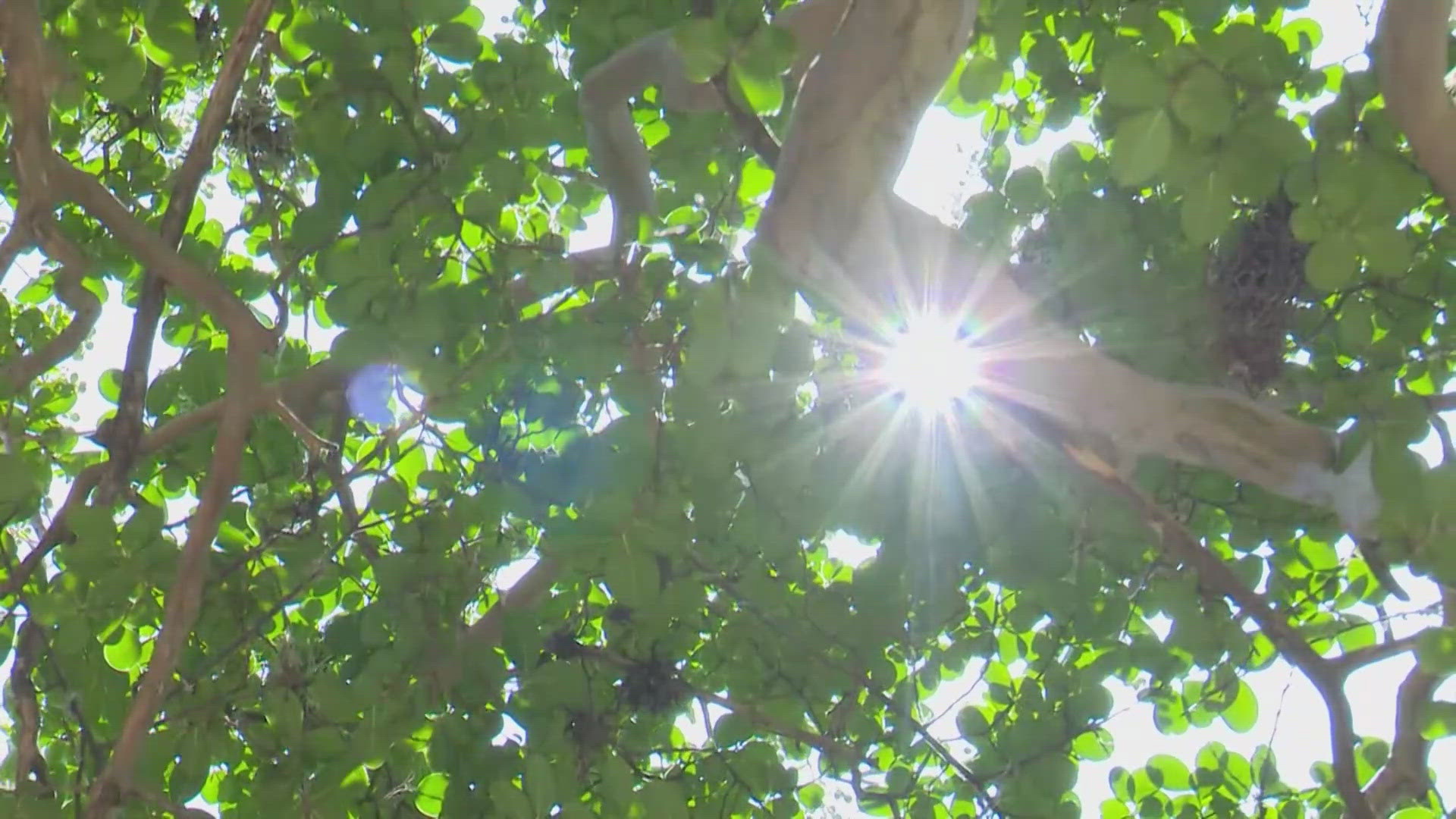 Houston faces extreme heat: Where to stay cool | khou.com