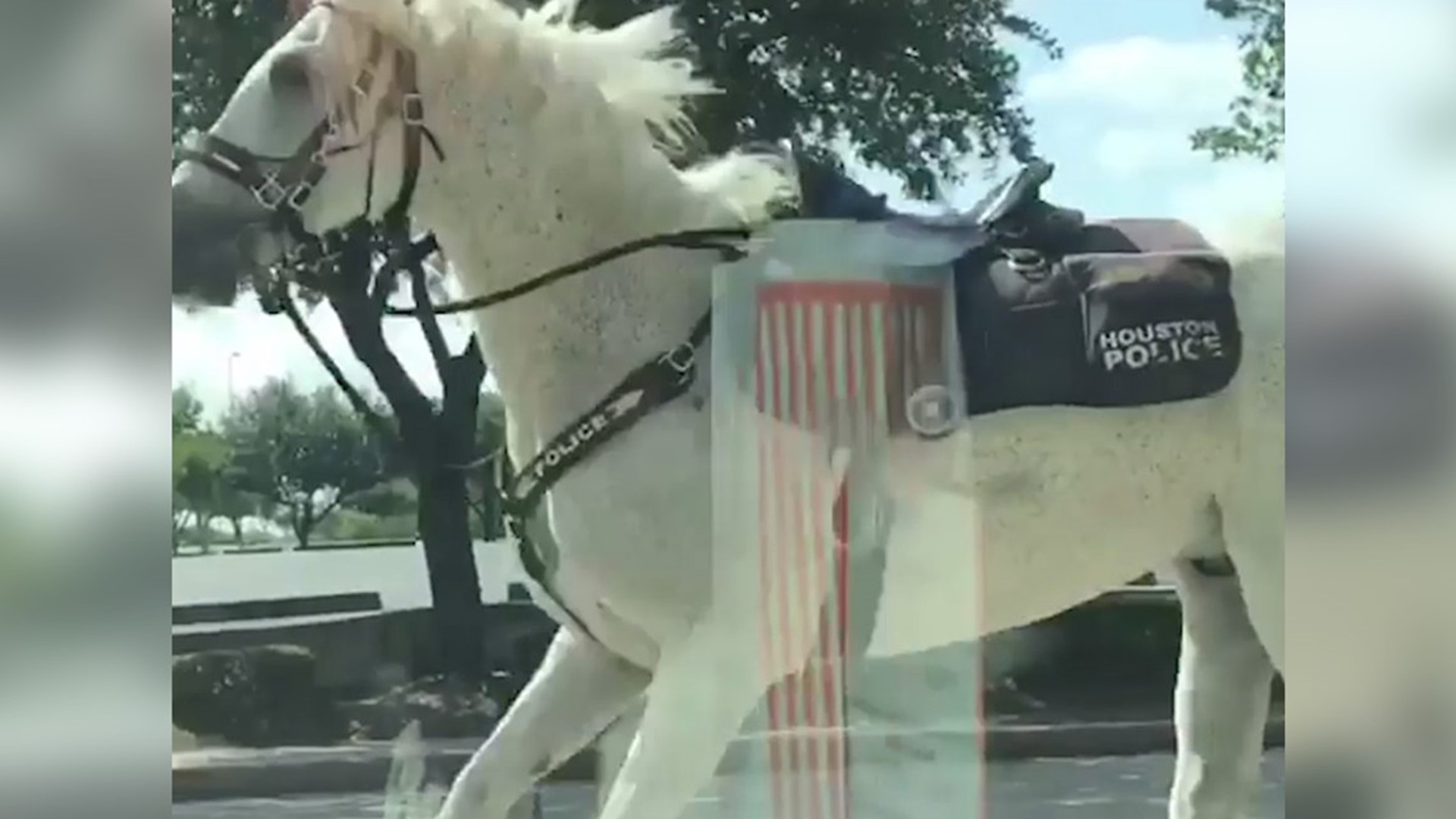 WATCH: HPD Mounted Patrol horse spotted galloping through downtown ...