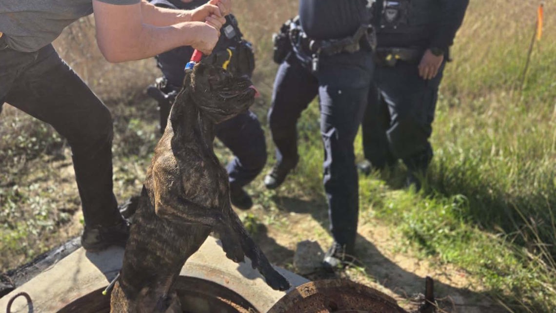 Alexis Sharkey update:Thomas Sharkey kills himself in Florida | khou.com