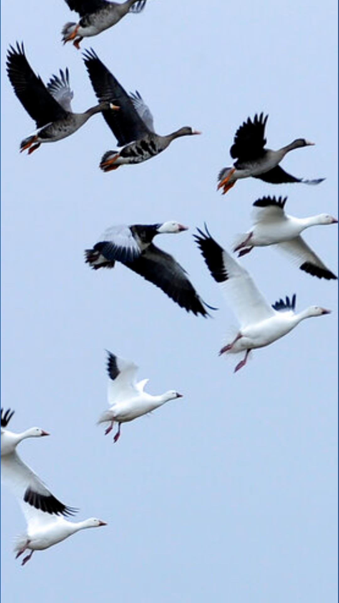 Texas hunting changes to know about in 2025-2026 | khou.com