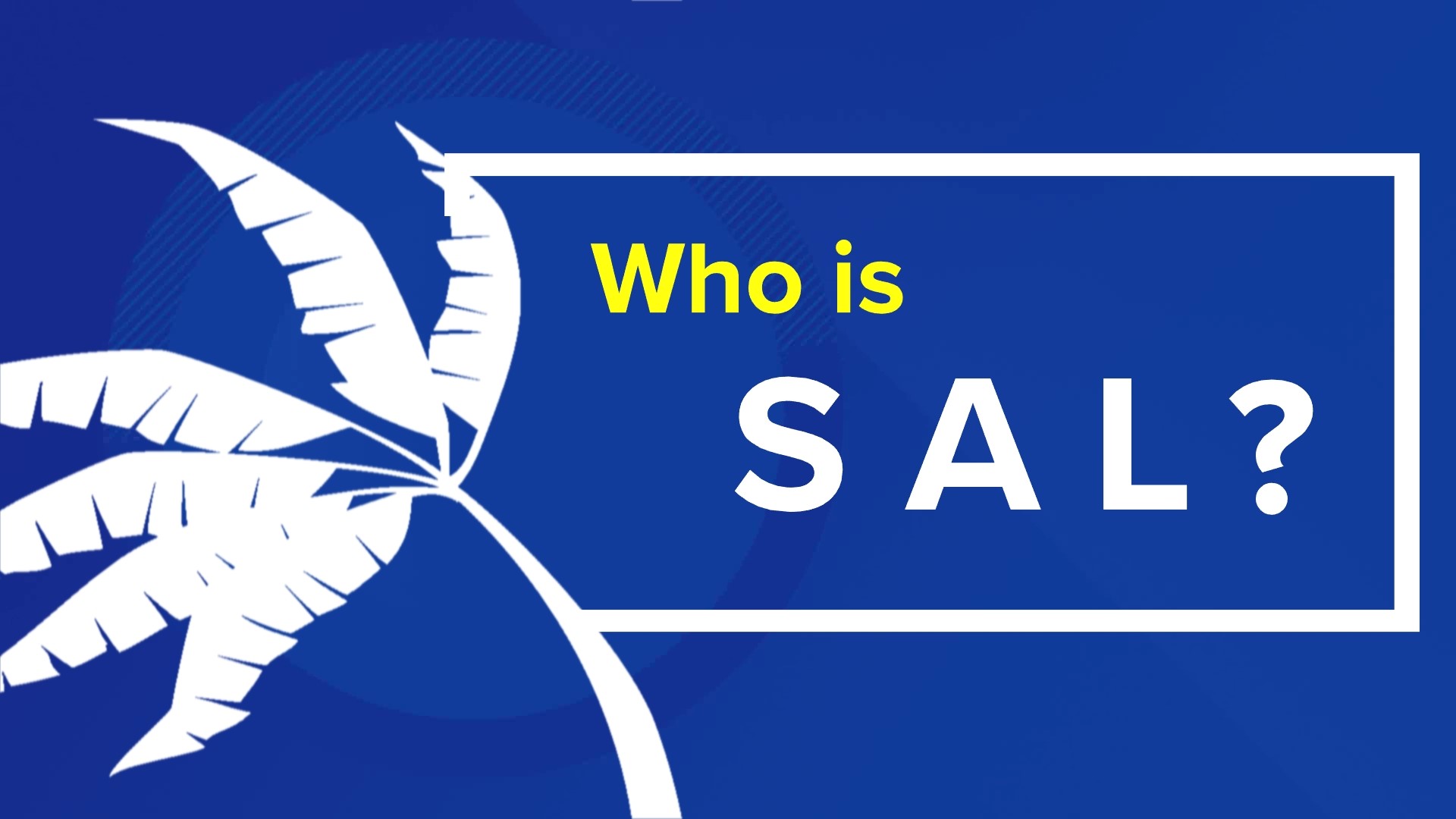 Saharan Air Layer as explained by a New Yorker | khou.com