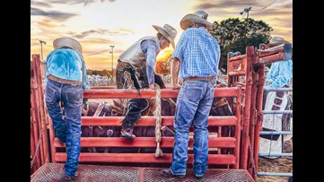 Houston-area high school painter wins another award at rodeo | khou.com