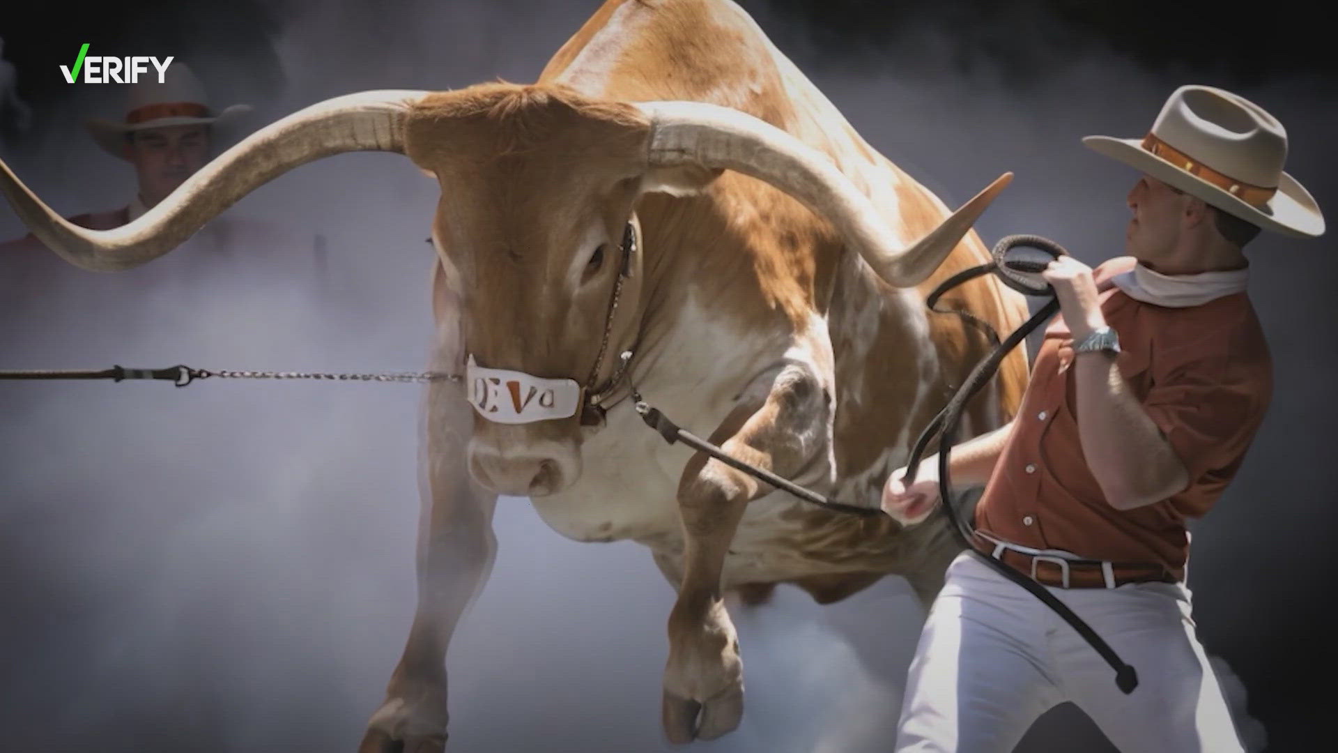 No, the SEC didn't ban any live animal mascots from conference football ...