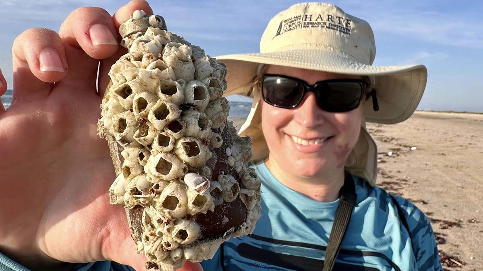 Beachcombing turns up weird finds on Texas beaches | PHOTOS | khou.com