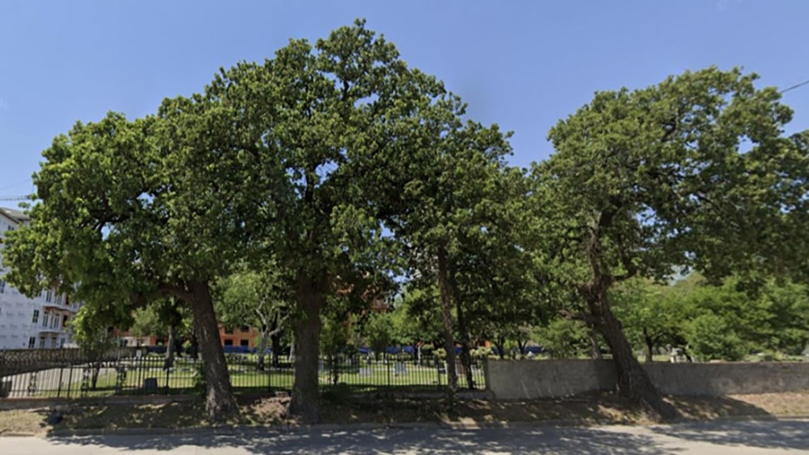 Historic designation means Montrose trees will remain standing | khou.com
